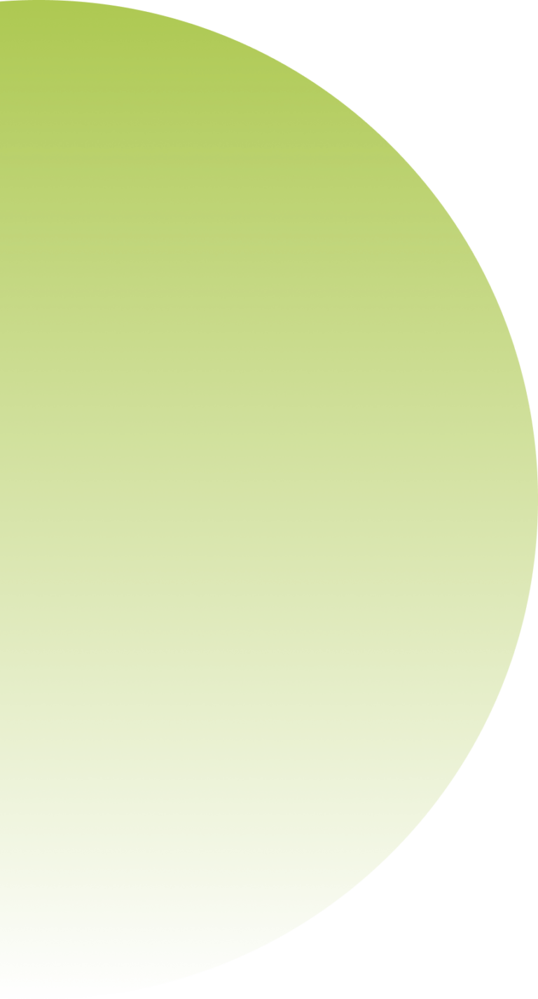 Biztax 2025 : tout ce qu’il faut savoir pour votre déclaration ISoc - ELOYA